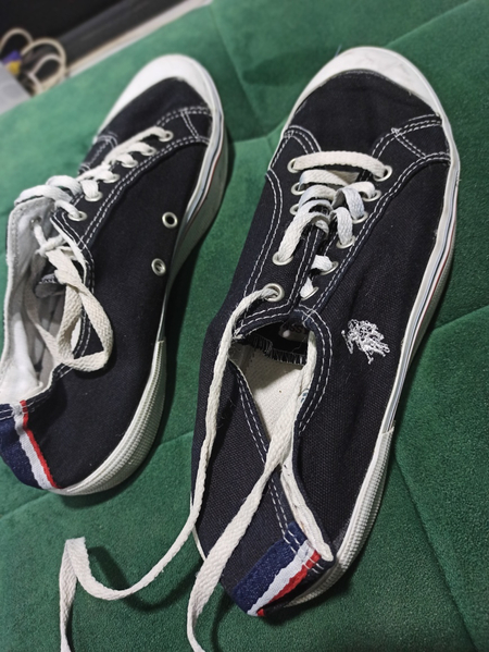 Кеды us polo assn. оригинальные