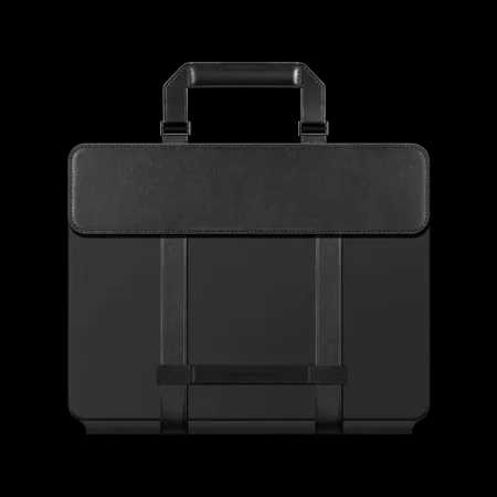 Pitaka FlipBook Case Чехол для iPad 11