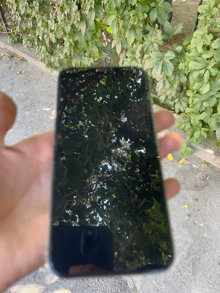 Iphone 12 Pro Max rangi qora