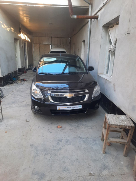 Pachka cobalt 2024