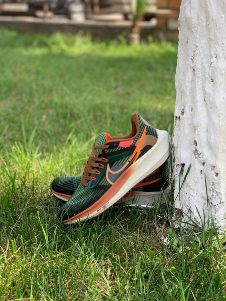 Nike Zoom pegasus 39