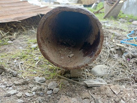 Rasiski qalin turba