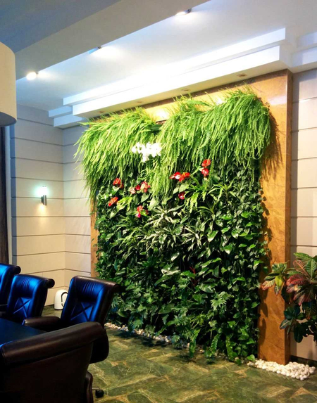 Зеленый зона, Фитостена , decor, suniy gullar, yashil devor,