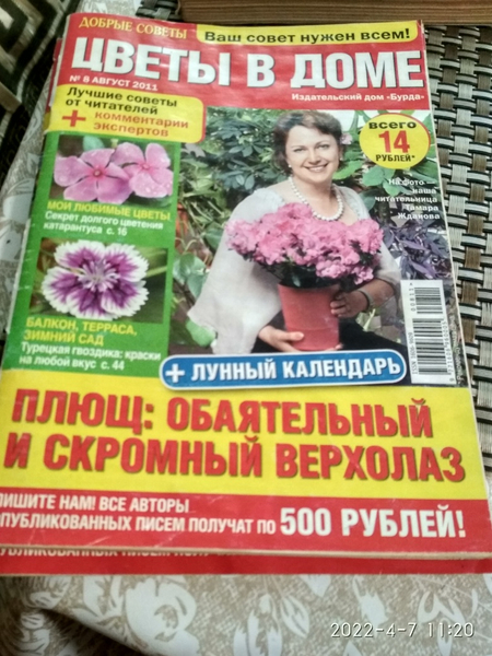 Комнатные цветочные растения и брошюры 