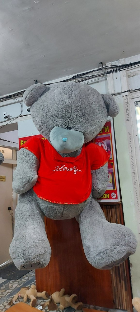 Teddy доставка по всему Узбекистану