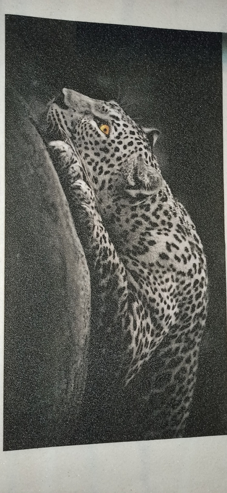 Fasad oboylari 