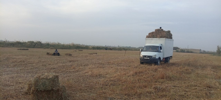 Gazel sotiladi 2013 yil isuzu mator