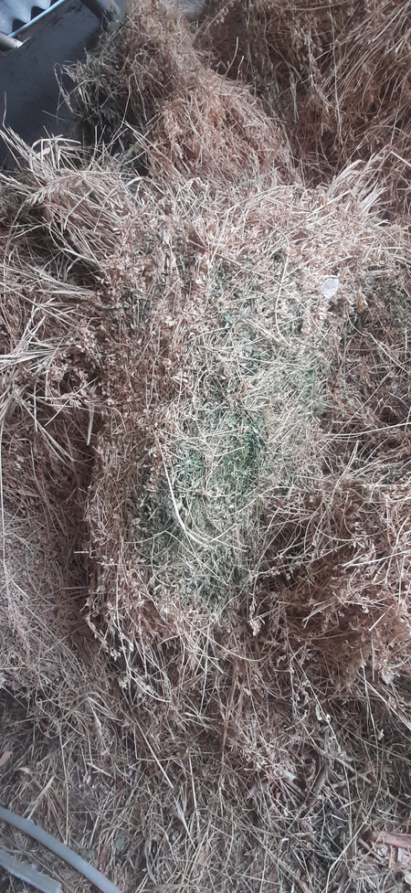 Beda boği yaxshi beda bağları bor