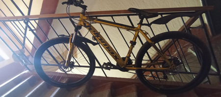 Velomax rangi gold