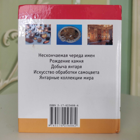 Янтарь. Мини Энциклопедия. 2005.