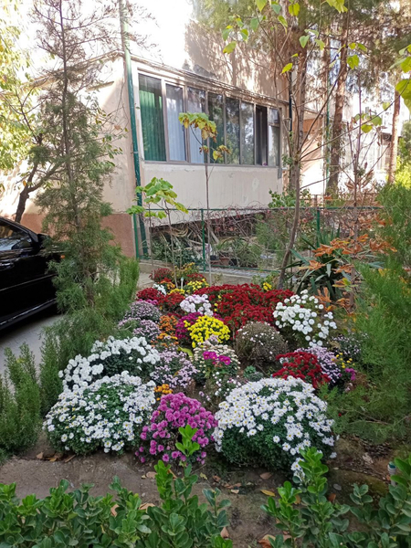 Продается квартира в стиле Хайтэк с садом