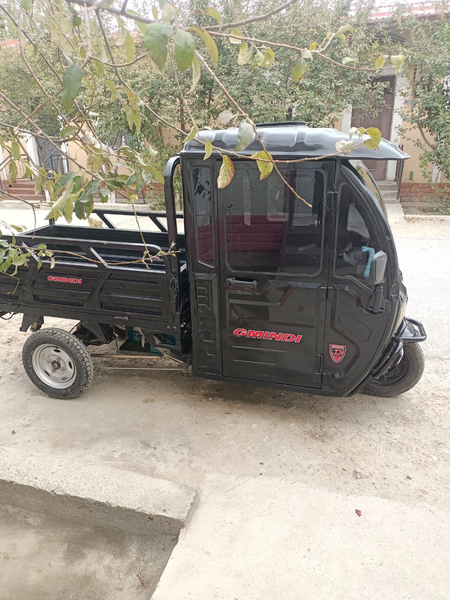 Elektro muravey GM