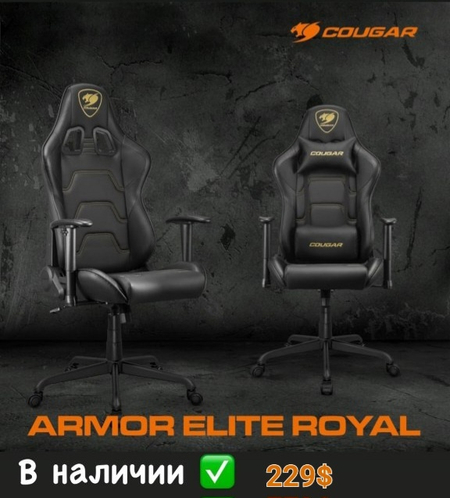 Cougar Elite Royal, EXPLORE orginal