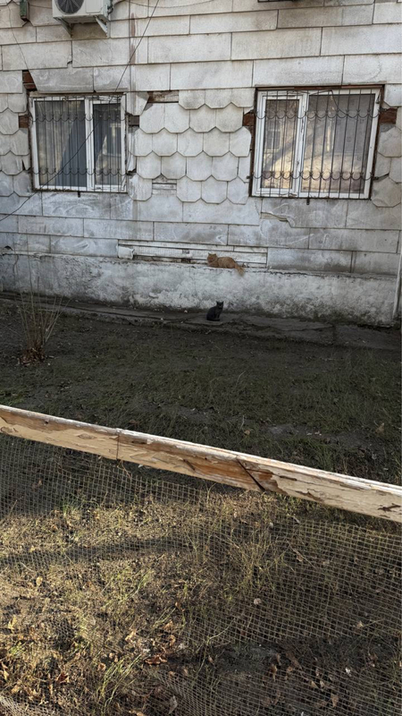 Сдается в аренду однокомнатная квартира