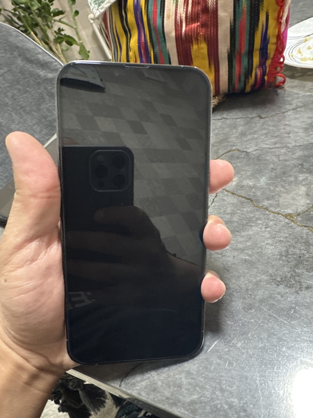 Iphone 13 pro max 256gb
