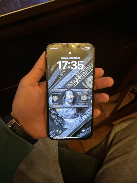 Iphone 12 Pro Max 256