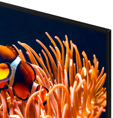 Samsung 55 DU8000 UHD 4 k. (2024).