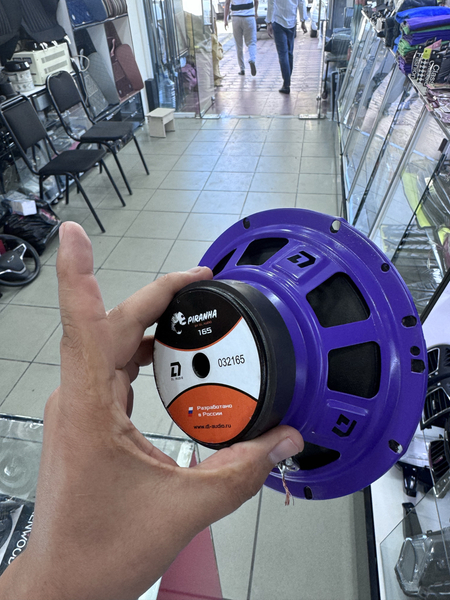 DL audio piranha 165