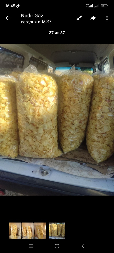 Halol chipslar...