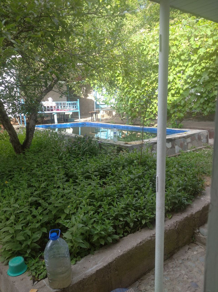 Dacha (chorvoqda)