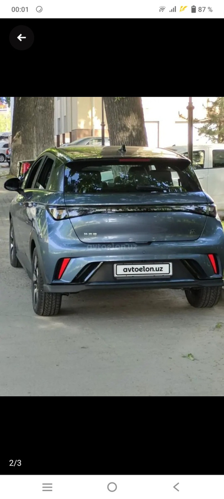 Byd dolphin knight edition. Full
