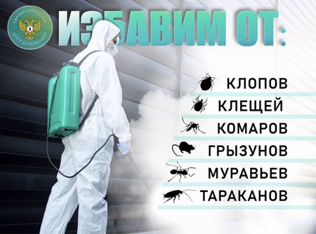 Dezinfeksiya Хизмати 100%