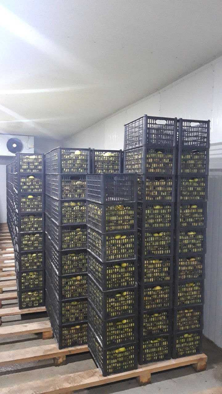 Продаётся Холодильный склад