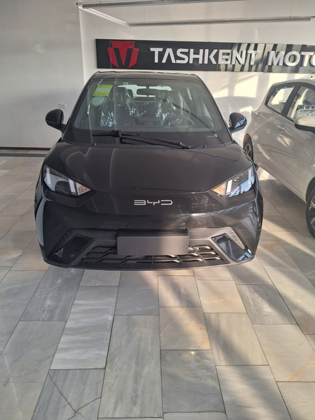 BYD seagul 2024 yil