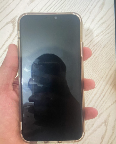 Iphone 11 pro max 256gb LL/A