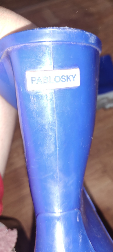 Резиновые сапожки Pablosky