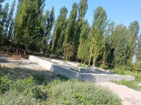 Йер сотилади Йукори Чирчик Янгикургонда 8 сотих Бустонликка чегародош