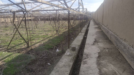 Xonadon sotiladi 8sotixli issiq xonasi bilan nazarbek