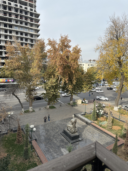 АРЕНДА В ЦЕНТРЕ 2-комнатная от собственника. Памятник Шота Руставели