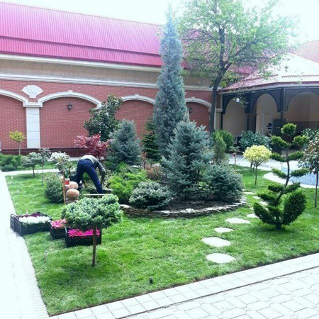 lanshaftniy dizayin