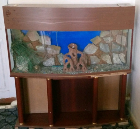 Akvarium holati yaxsh