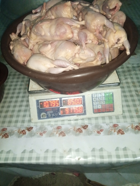 Bedana go'shti dartga davo