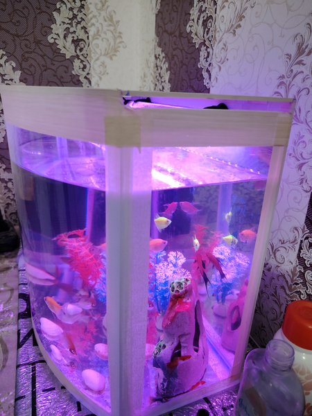Akvarium komplekt 40Litr