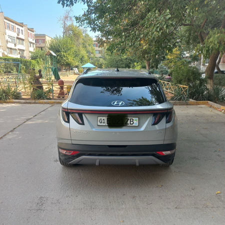 Hyunday Tucsan своя