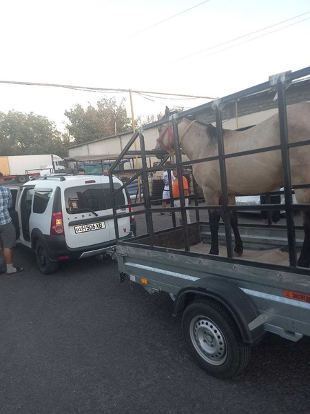 Prisep, Tirkama ,Прицепы «EXPEDISIYA»