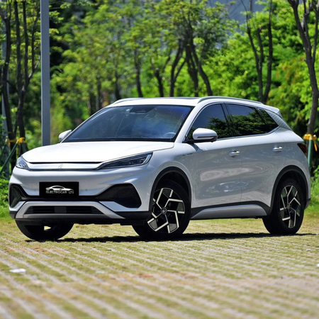Yuan plus poz-1 2024 full
