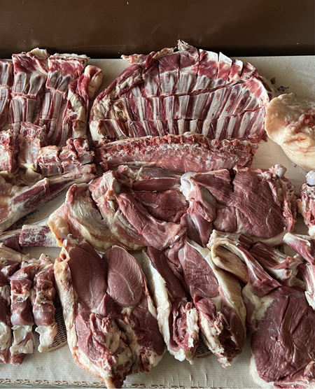Halal Servis қассоб, тирик қўйлар, калла поча