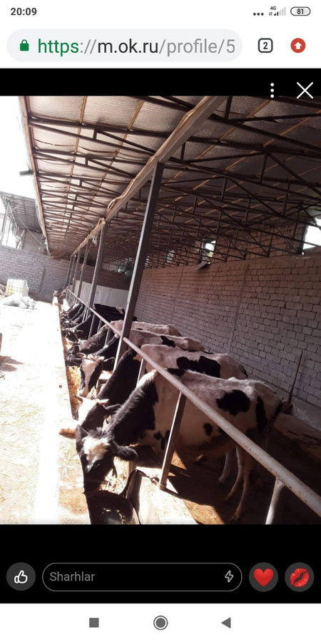 70 sotihli hovli va mini ferma