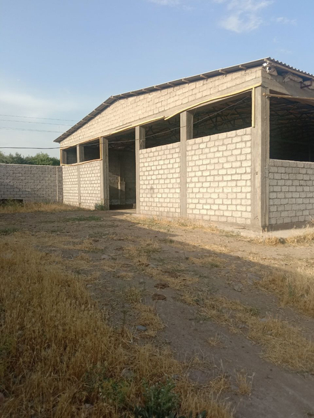 Продается большая ферма.