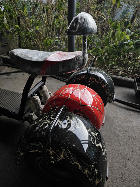 CityCoco trike scooter 1000w