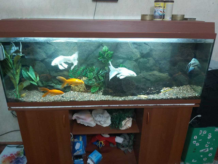 Продается аквариум