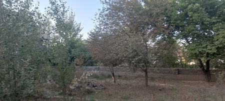 Дача сотилали 8 ст
