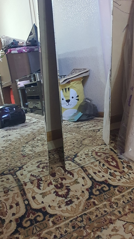 Зеркало продаётся  2 шт