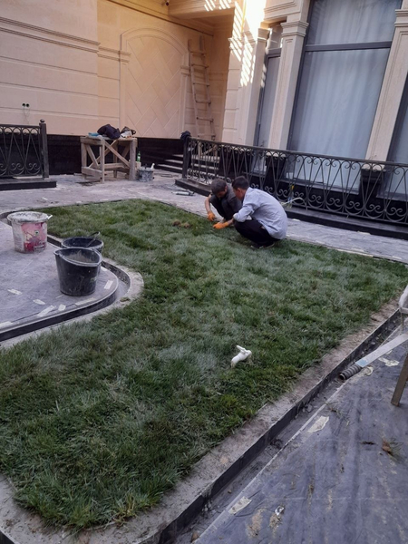 Gazon urugi..va tayor rulon gazon ekamiz газон 25000