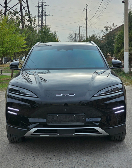 BYD CHEMPION 605 KM. 2023.