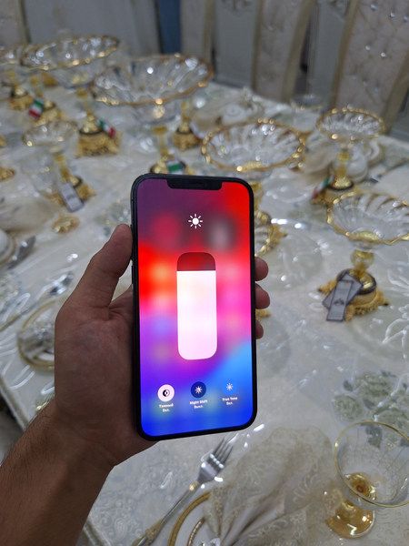 iPhone 12 Pro Max Radnoy